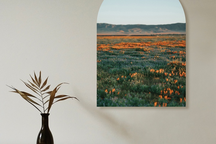 그림·사진 마이 리틀 윈도우 인테리어 접착 아치 포스터 80 Orange Field 오늘의집 쇼핑