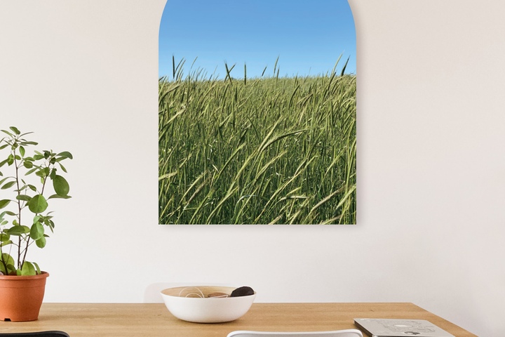 그림·사진 마이 리틀 윈도우 인테리어 접착 아치 포스터 83 Green Barley Field 오늘의집 쇼핑