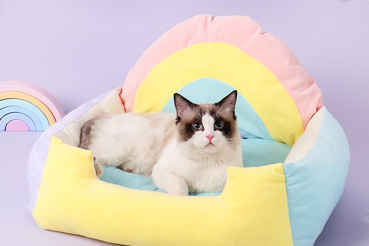 강아지 리빙 강아지 고양이 레인보우 무지개 방석 오늘의집 쇼핑