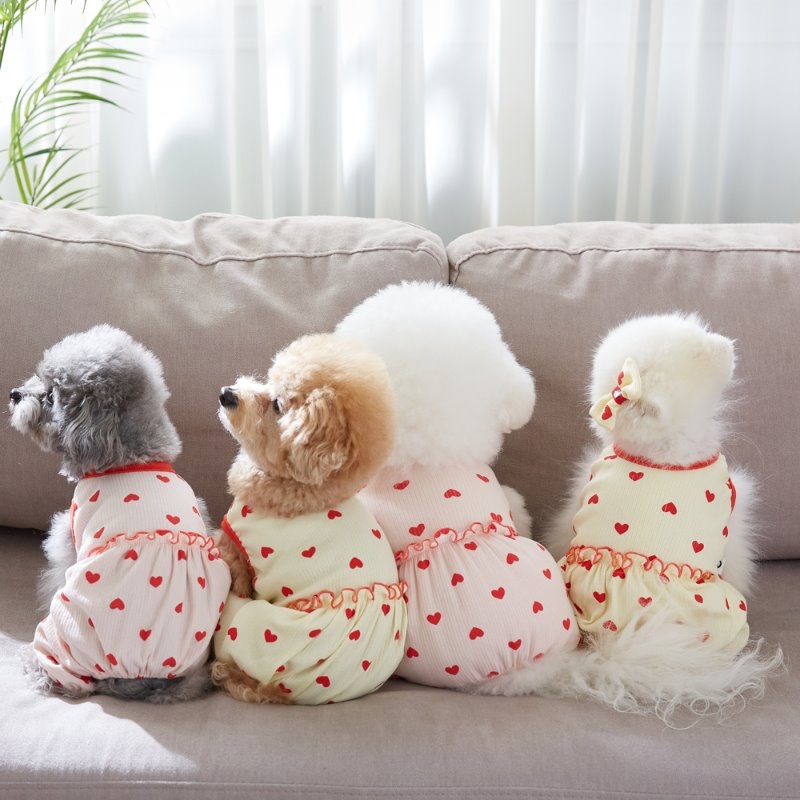 강아지 패션 하트봉봉 강아지올인원 2color 펫츠앤미 오늘의집 쇼핑
