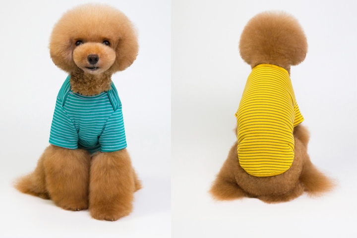 강아지 패션 줄무늬 티셔츠 강아지옷 3colors S Xl 오늘의집 쇼핑