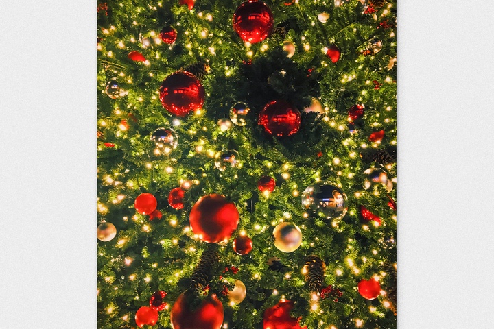 패브릭포스터·그림 리무버블 접착 포스터 크리스마스 인테리어 그림 액자 Twinkle Tree 오늘의집 쇼핑