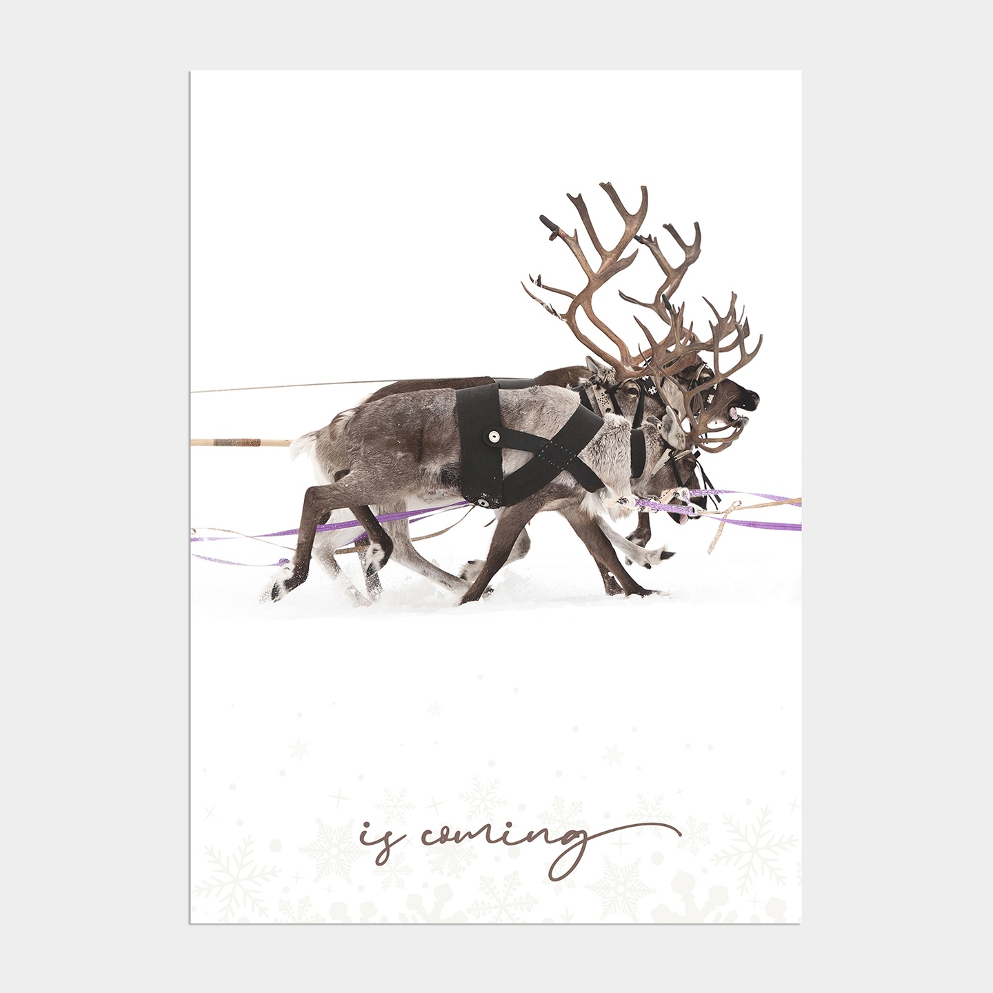 패브릭포스터·그림 조이 윈터 크리스마스 겨울 액자 포스터 65 Santa Claus Sleigh 02 오늘의집 쇼핑