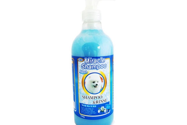 강아지 미용·목욕 미라클 백모견용 샴푸린스 750ml 애견샴푸 오늘의집 쇼핑