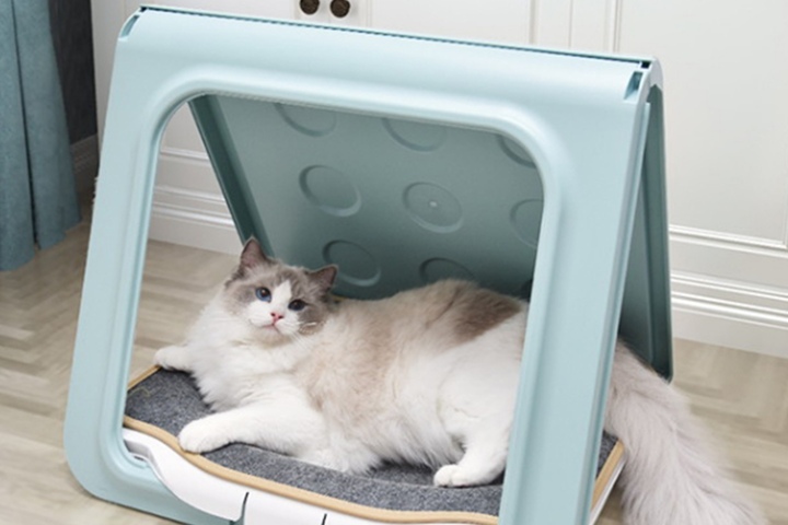 강아지 리빙 접이식 애견 강아지 길냥이 고양이 텐트 하우스 플라스틱집 오늘의집 쇼핑