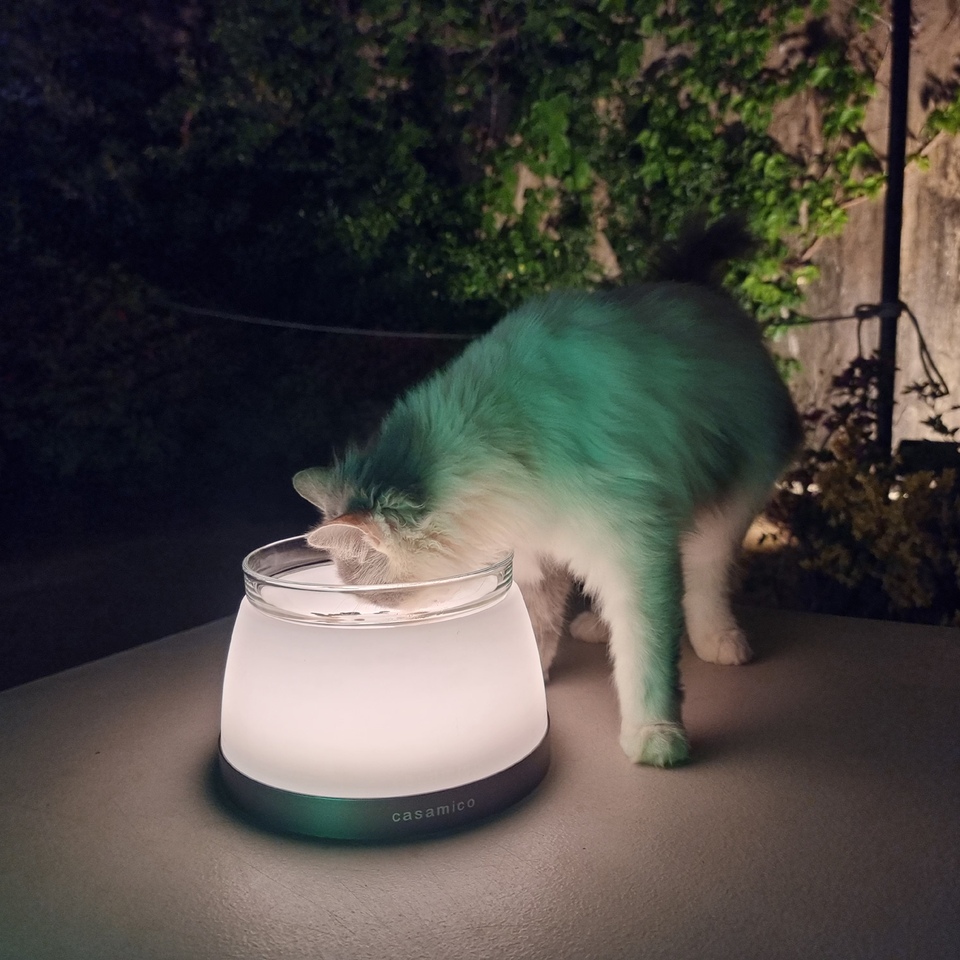 강아지 리빙 리퍼 까사미코 블링블링 Led 무선 고양이 강아지 물그릇 밥그릇 오늘의집 쇼핑