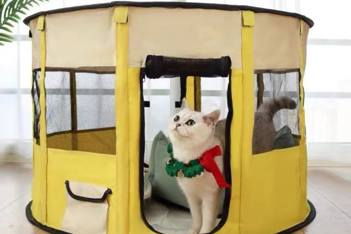 강아지 리빙 고양이 강아지 통풍 숭숭 텐트 하우스 애견 집 오늘의집 쇼핑