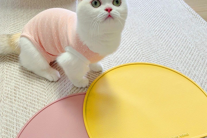 강아지 리빙 깔개냥 강아지 고양이 실리콘 논슬립 식기매트 3colors반원형 오늘의집 쇼핑