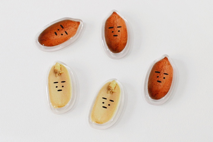 마그넷·도어벨 백반 아크릴 미니마그넷 Set 리얼땅콩 Bb460 오늘의집 쇼핑