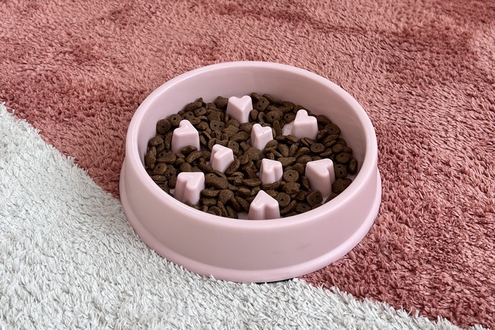 강아지 리빙 강아지 고양이 밥그릇 슬로우식기 하트 오늘의집 쇼핑