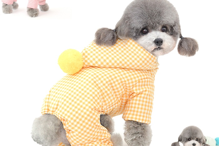 강아지 패션 따뜻하개 애견 패딩 올인원 오늘의집 쇼핑