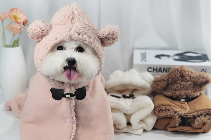 강아지 패션 강아지 망토 겨울옷 고양이 숄 담요 애니멀망토담요 오늘의집 쇼핑