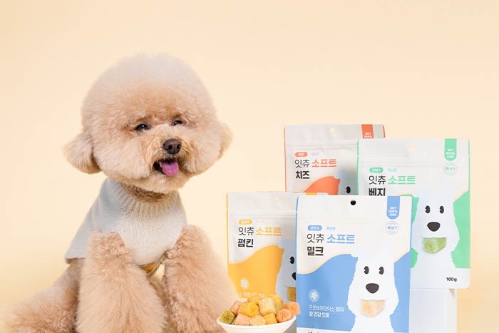 강아지 사료·간식 잇츄 소프트 덴탈껌 100g 밀크베지펌킨치즈 말랑한 강아지 껌 오늘의집 쇼핑
