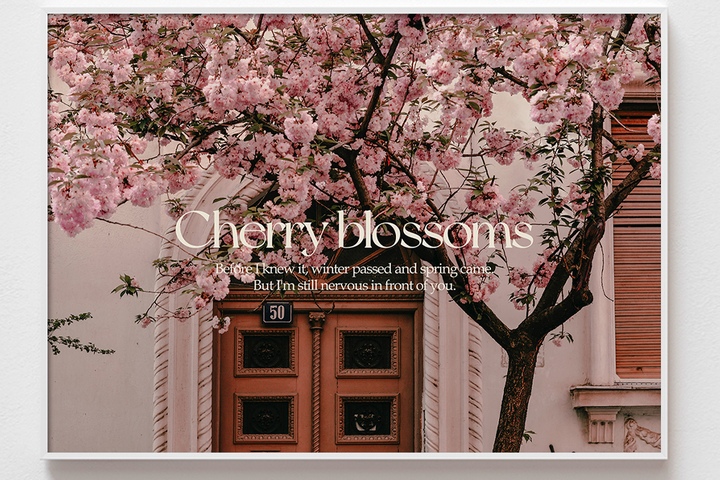 그림·사진 플랜테리어 식물 인테리어 감성 포스터 액자cherry Blossoms 오늘의집 쇼핑