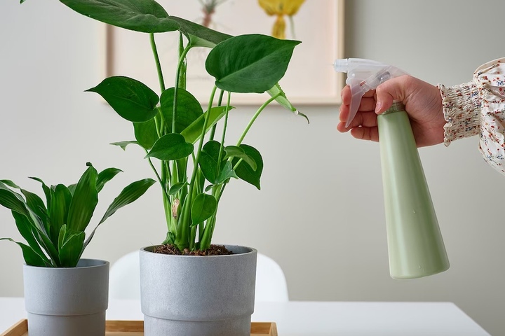 가드닝용품 분무기 물뿌리개 스프레이 350ml 오늘의집 쇼핑