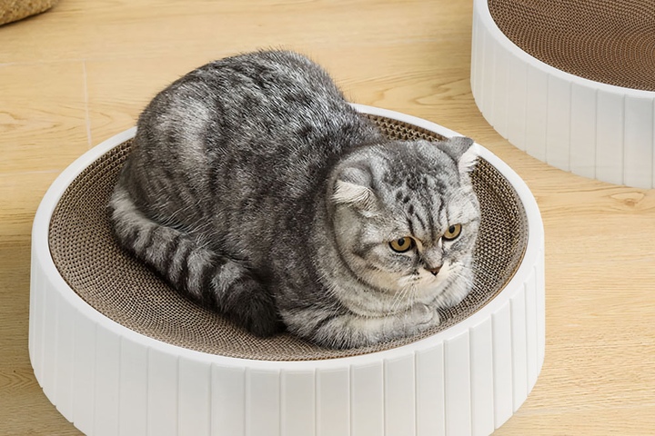 고양이 리빙 고양이 스크래쳐 원형 Cats 01 Cn 침대형 소파 스크래처 냥모나이트 캣모나이트 오늘의집 쇼핑