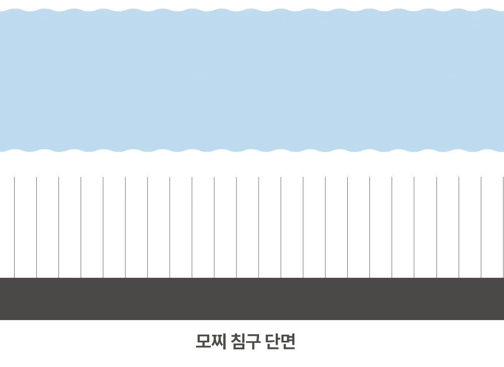 이불 > 모찌 100수 순면 차렵이불 호텔침구 SS Q 4color | 오늘의집 쇼핑