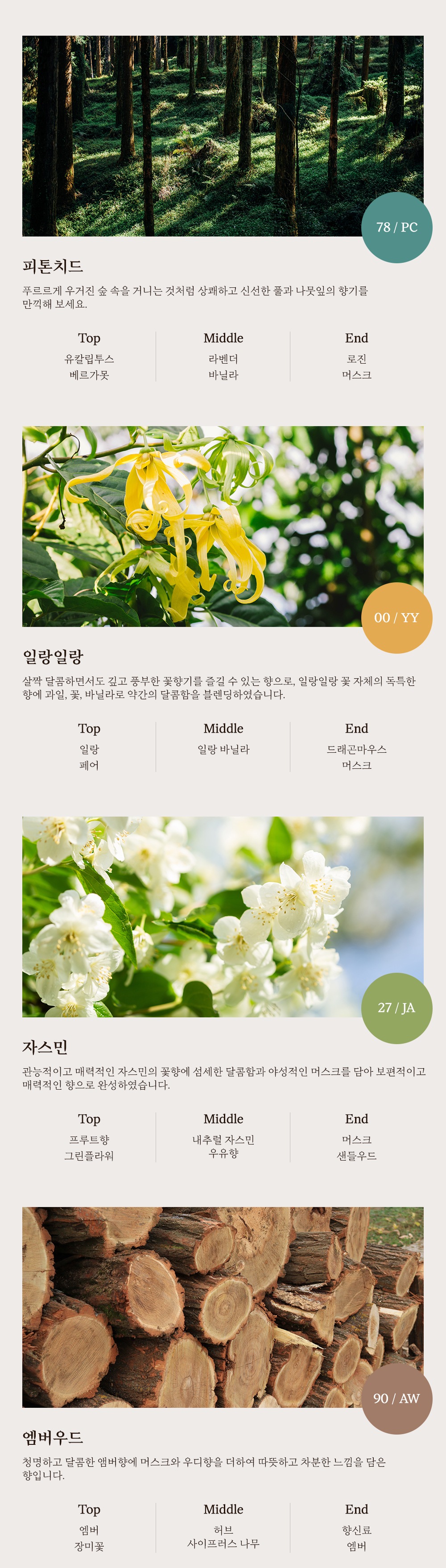 사쉐 > 올웨이즈 퍼퓸샤쉐 옷장 차량용 실내 종이 방향제 20g 12가지향 | 오늘의집 쇼핑