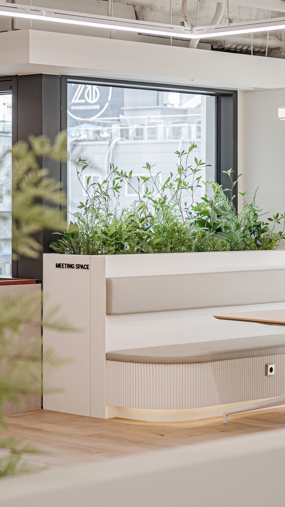 🌿생기 가득 초록을 거머쥔 오피스 플랜테리어🪴 을지로 오피스 130py 라이프스타일 슈퍼앱 오늘의집